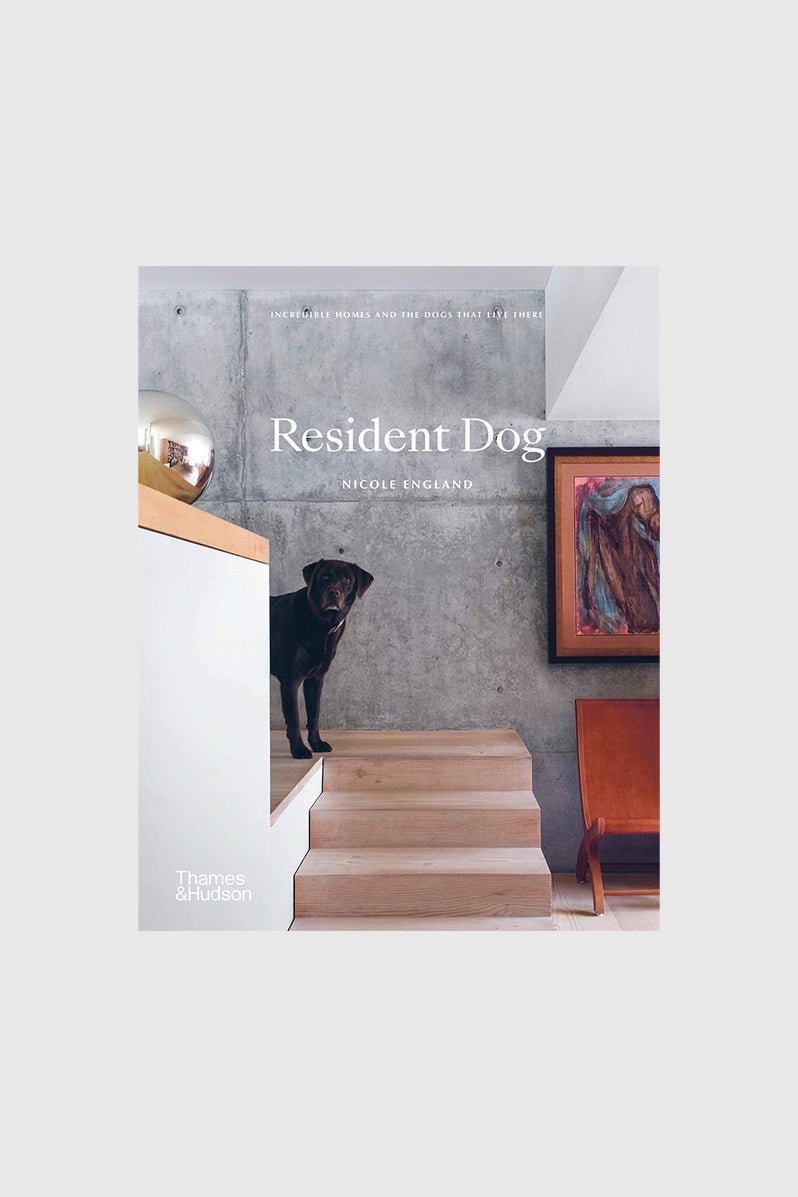 Resident Dog – Otto's Corner Store